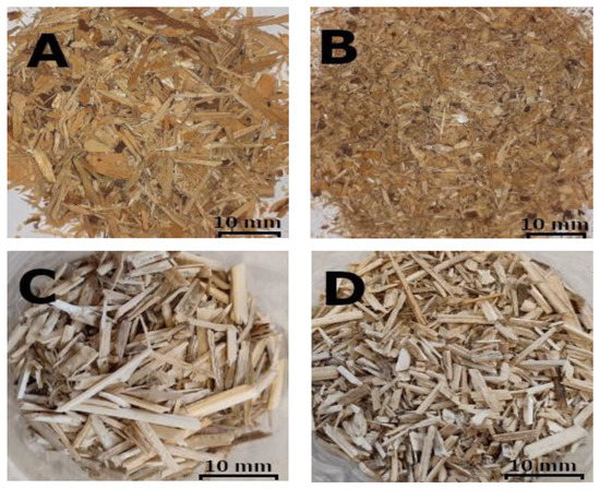 Hemp Shives as a Raw Material for the Production of Particleboards