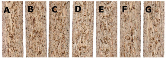 Hemp Shives as a Raw Material for the Production of Particleboards