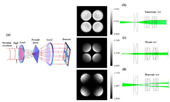Advanced Optical Wavefront Technologies to Improve Patient Quality of ...