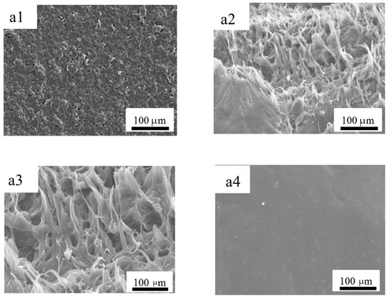 Biodegradable Mulching Films Based on Polycaprolactone and Its Porous ...
