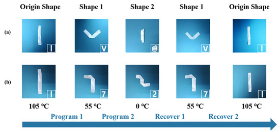Trans-Polyisoprene/Poly (Ethylene-co-Vinyl Acetate) Polymer Composites ...