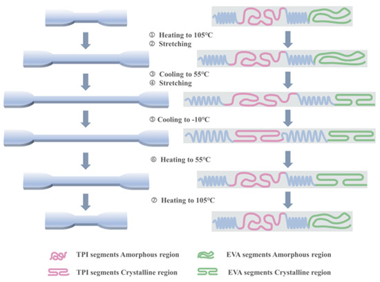 Trans-Polyisoprene/Poly (Ethylene-co-Vinyl Acetate) Polymer Composites ...