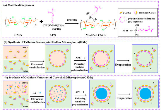 Breathability and Moisture Permeability of Cellulose Nanocrystals ...