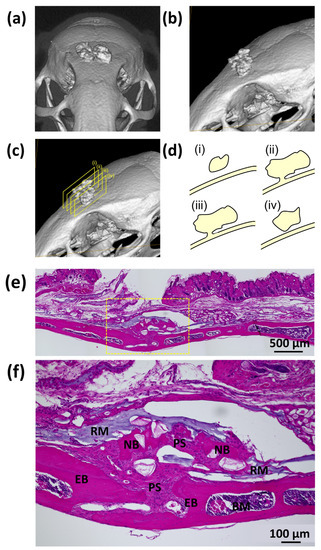 Bone Formation on Murine Cranial Bone by Injectable Cross-Linked ...