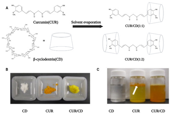 A Review of Cyclodextrin Encapsulation and Intelligent Response for the Release of Curcumin
