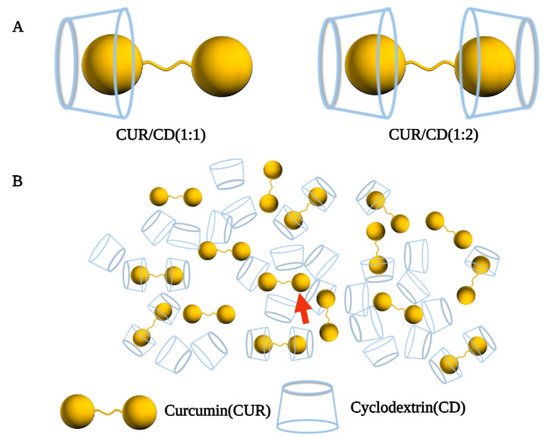 A Review of Cyclodextrin Encapsulation and Intelligent Response for the Release of Curcumin