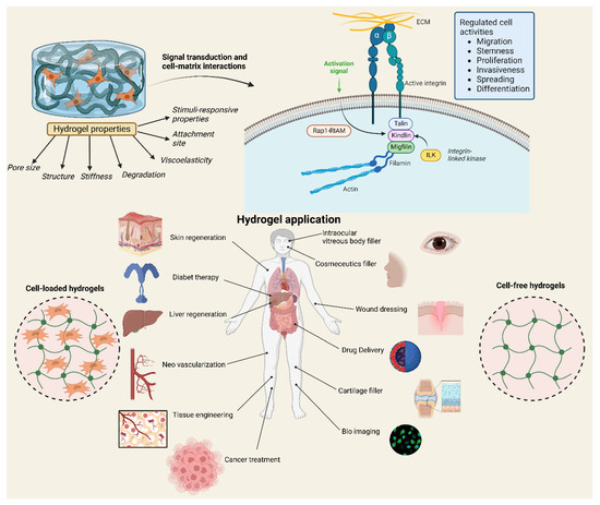 A Review on Biomedical Application of Polysaccharide-Based Hydrogels ...