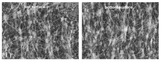 Fluoropolymer Membranes for Membrane Distillation and Membrane ...