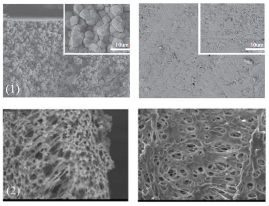 Fluoropolymer Membranes for Membrane Distillation and Membrane ...