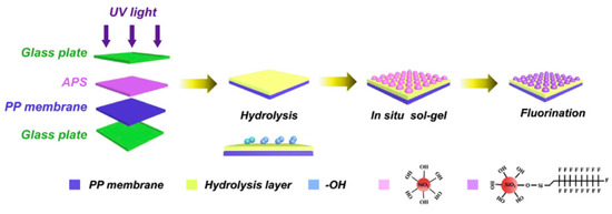 Fluoropolymer Membranes for Membrane Distillation and Membrane ...