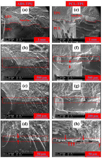 A New Strategy for Achieving Shape Memory Effects in 4D Printed Two ...