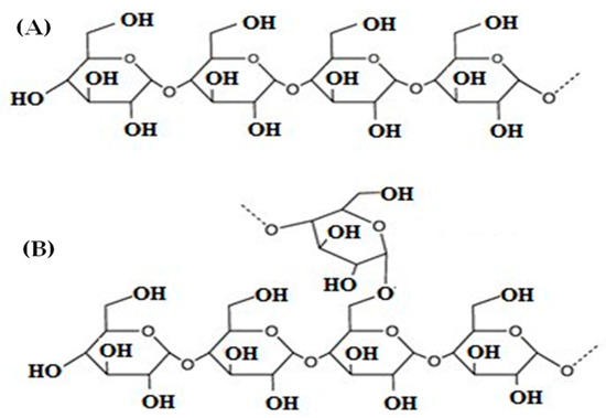 Chemical Structure Of Starch
