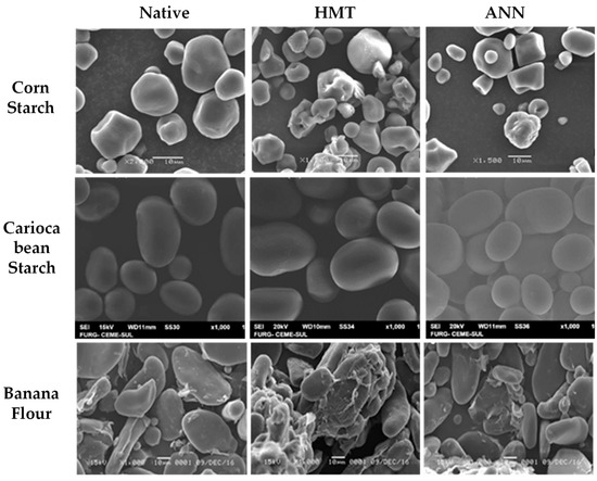 A Mini Review of Physicochemical Properties of Starch and Flour by ...