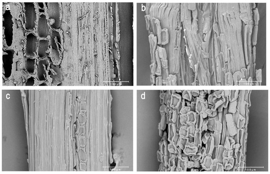 Effects of Different Delignification and Drying Methods on Fiber ...