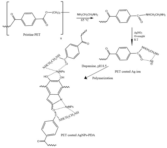 Surface Functionalization of Polyester Textiles for Antibacterial and ...