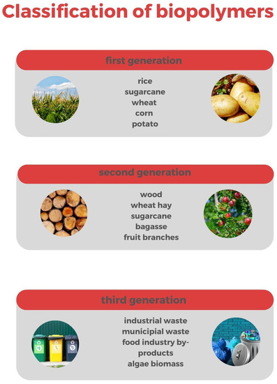 An Overview on Wood Waste Valorization as Biopolymers and Biocomposites ...