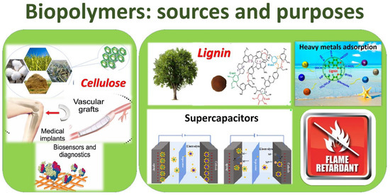 An Overview on Wood Waste Valorization as Biopolymers and Biocomposites ...