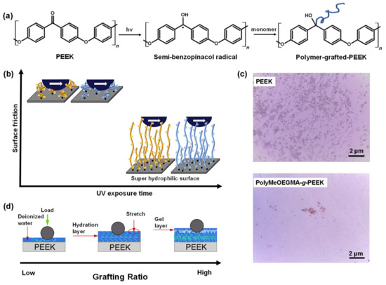 Surface Modifications of High-Performance Polymer Polyetheretherketone (PEEK) to Improve Its ...