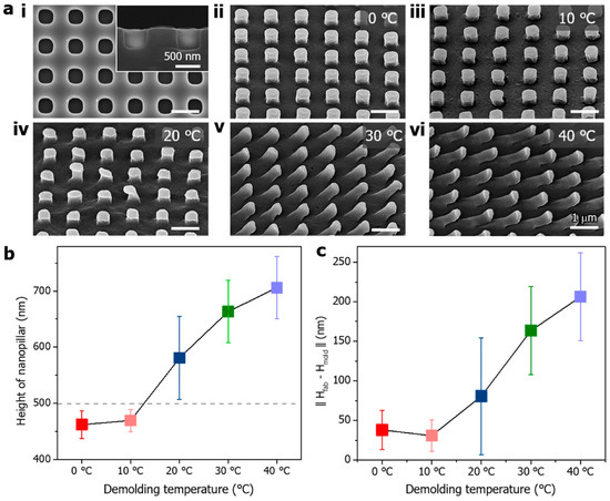 Fabrication of Nanostructured Polycaprolactone (PCL) Film Using a Thermal Imprinting Technique ...