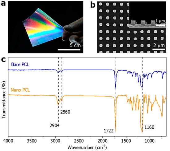 Fabrication of Nanostructured Polycaprolactone (PCL) Film Using a ...