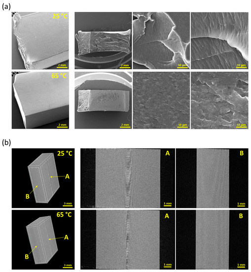 The Injection Molding of Biodegradable Polydioxanone—A Study of the ...