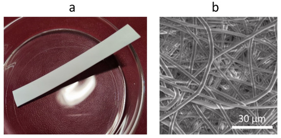 Biocomposite Materials Based on Poly(3-hydroxybutyrate) and Chitosan: A ...