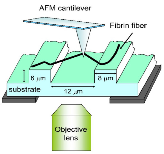 Electrospun Polymer Nanofibers: Processing, Properties, and Applications