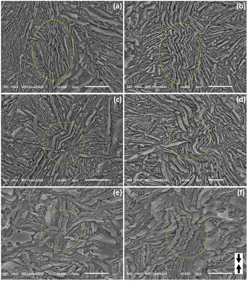 Plastic Deformation of High Density Polyethylene with Extended-Chain ...