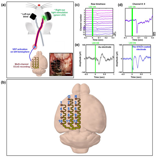 Stretchable Surface Electrode Arrays Using an Alginate/PEDOT:PSS-Based ...