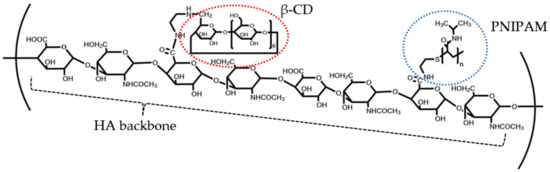 Polymers | Free Full-Text | The Dual Modification of PNIPAM and β ...