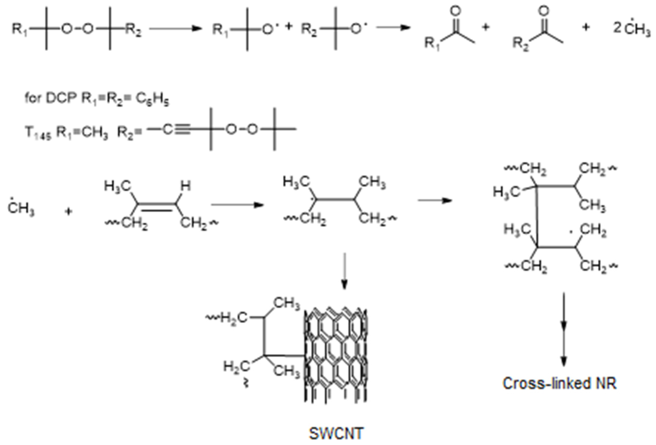 Polymers | Free Full-Text | Effect of Single-Walled Carbon Nanotubes on ...