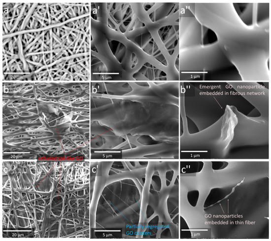 Hierarchically Structured Hybrid Membranes for Continuous Wastewater ...