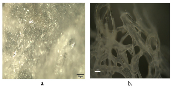 Physico-Chemical Characterization of Keratin from Wool and Chicken ...