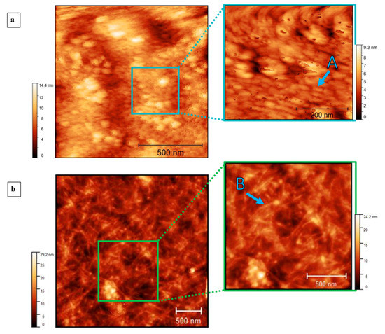 Physico-Chemical Characterization of Keratin from Wool and Chicken ...