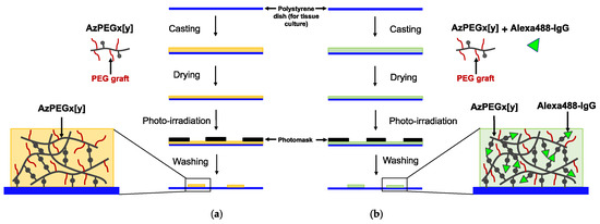 Synthesis and Characterization of Polyethylene Glycol-Grafted ...