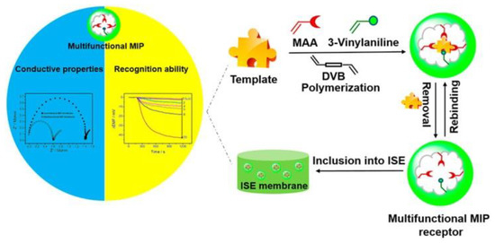 Application of Molecularly Imprinted Electrochemical Biomimetic Sensors ...