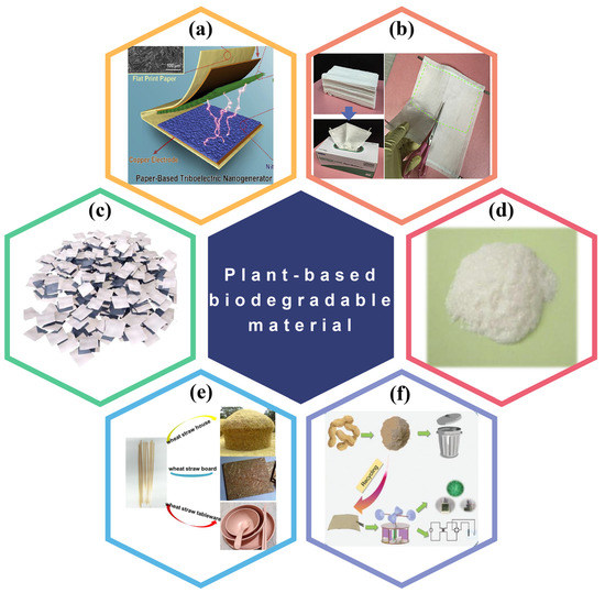 Biodegradable Polymers in Triboelectric Nanogenerators