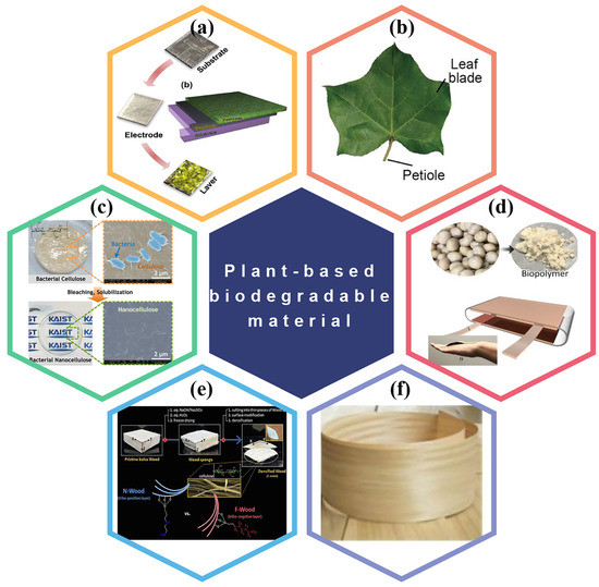 Biodegradable Polymers in Triboelectric Nanogenerators