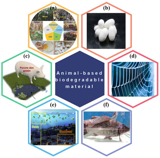Biodegradable Polymers in Triboelectric Nanogenerators