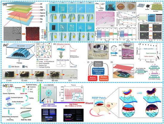Biodegradable Polymers in Triboelectric Nanogenerators