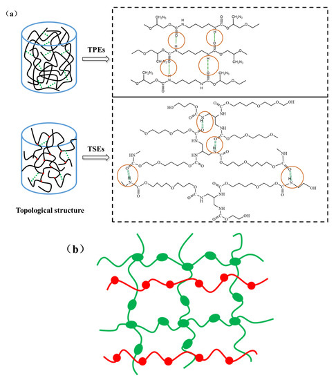 Evaluation of Effective Crosslinking Density for Pseudo-Semi Interpenetrating Polymer Networks ...
