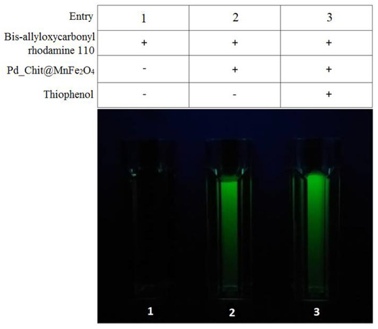 Palladium Nanoparticles on Chitosan-Coated Superparamagnetic Manganese ...