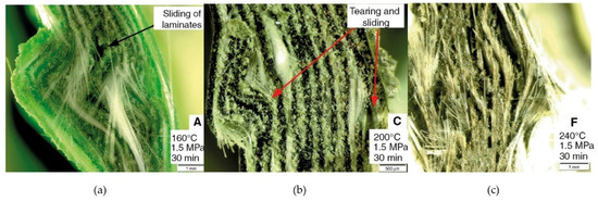 Different Production Processes for Thermoplastic Composite Materials ...