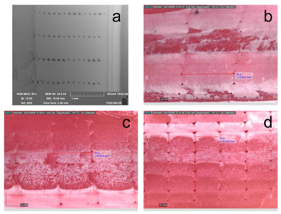 Effect of 3D Printing Process Parameters on Damping Characteristic of Cantilever Beams ...