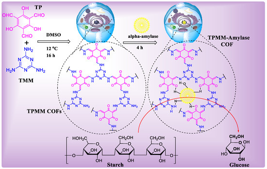 Polymers | Free Full-Text | Covalent Organic Frameworks (COFs) as Multi ...