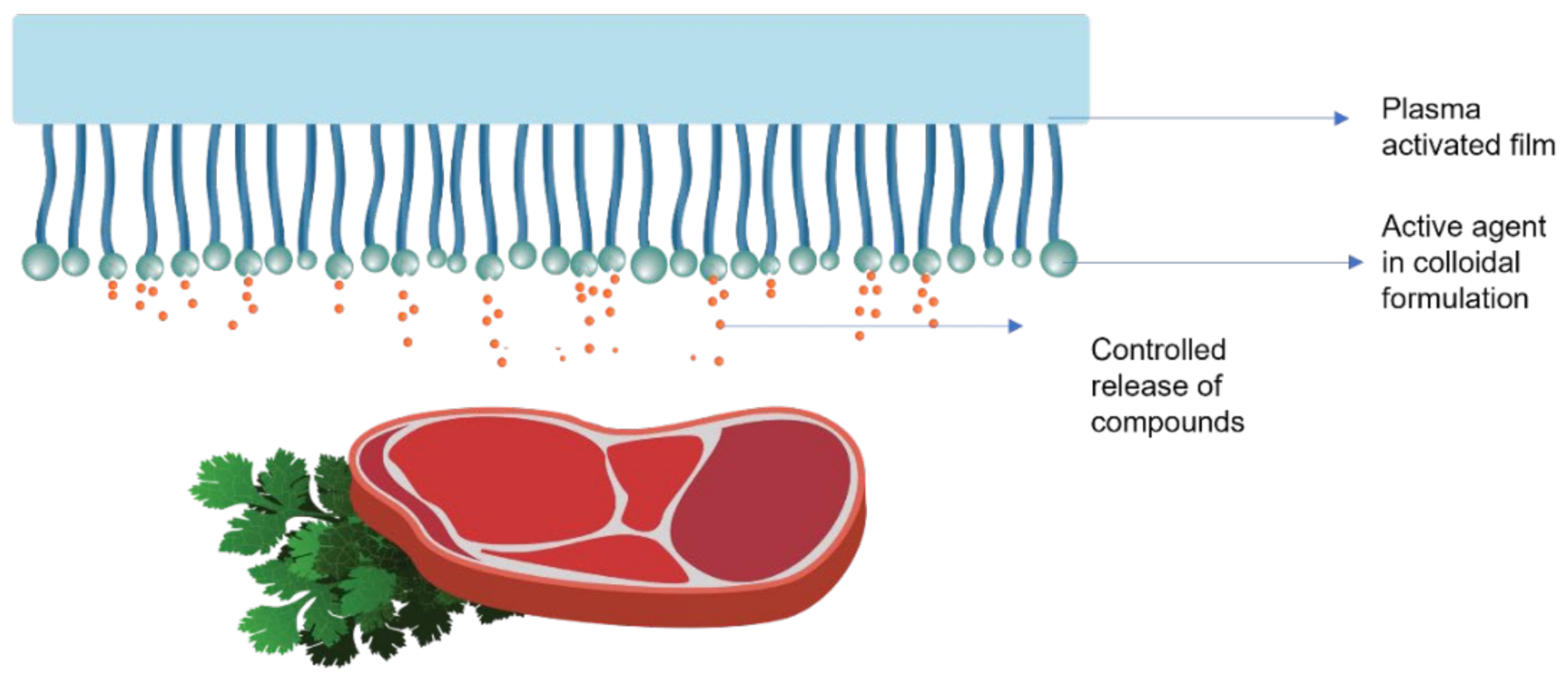 Colloidal Solutions as Advanced Coatings for Active Packaging ...