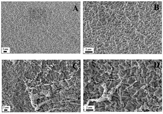 Type-A Gelatin-Based Hydrogel Infiltration and Degradation in Titanium ...