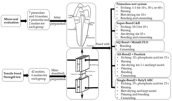 Marginal Micro-Seal and Tensile Bond Strength of a Biopolymer Hybrid ...
