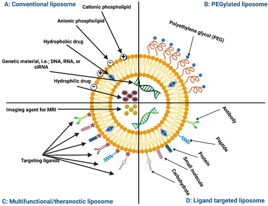 Polymers | Free Full-Text | Liposomes or Extracellular Vesicles: A Comprehensive Comparison of ...