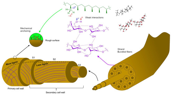 Polymers | Free Full-Text | Behavior of the Flexural Strength of Hemp ...